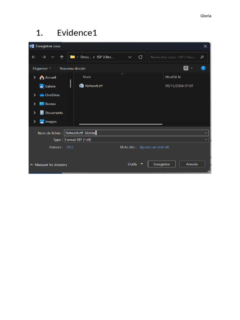 evidence document | PDF