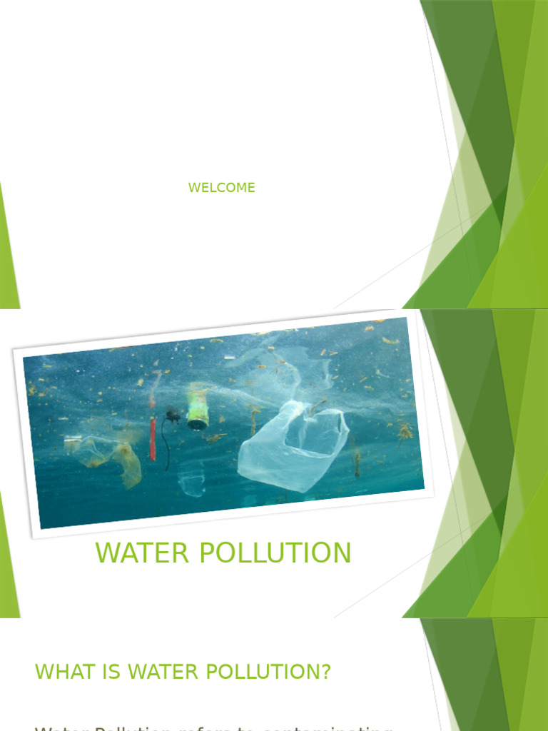 Understanding Groundwater Pollution | PDF