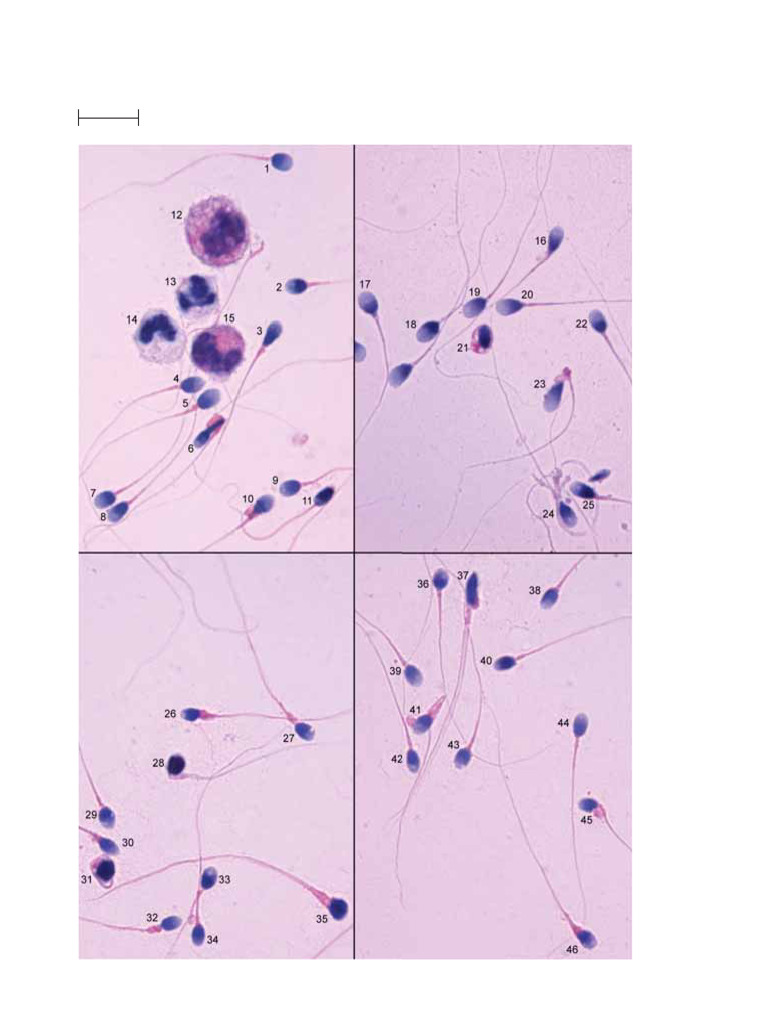 9789241547789_eng-105 | PDF