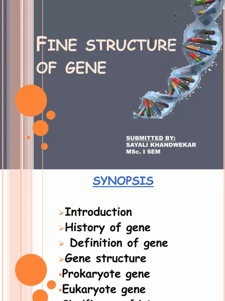 Fine Structure of Gene Best | PDF