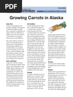 Carrots | PDF | Carrot | Agriculture