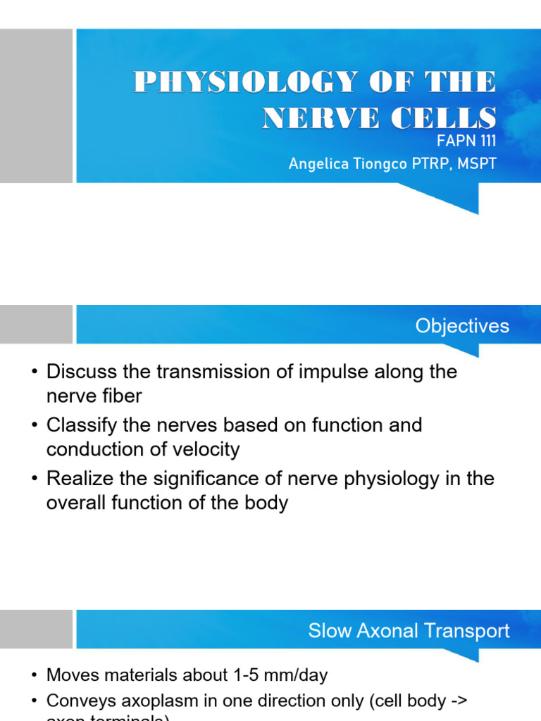 Nerve Physiology and Action Potentials | PDF | Action Potential | Axon