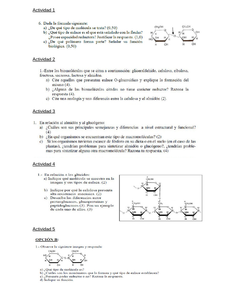Ejercicios Glã Cidos | PDF