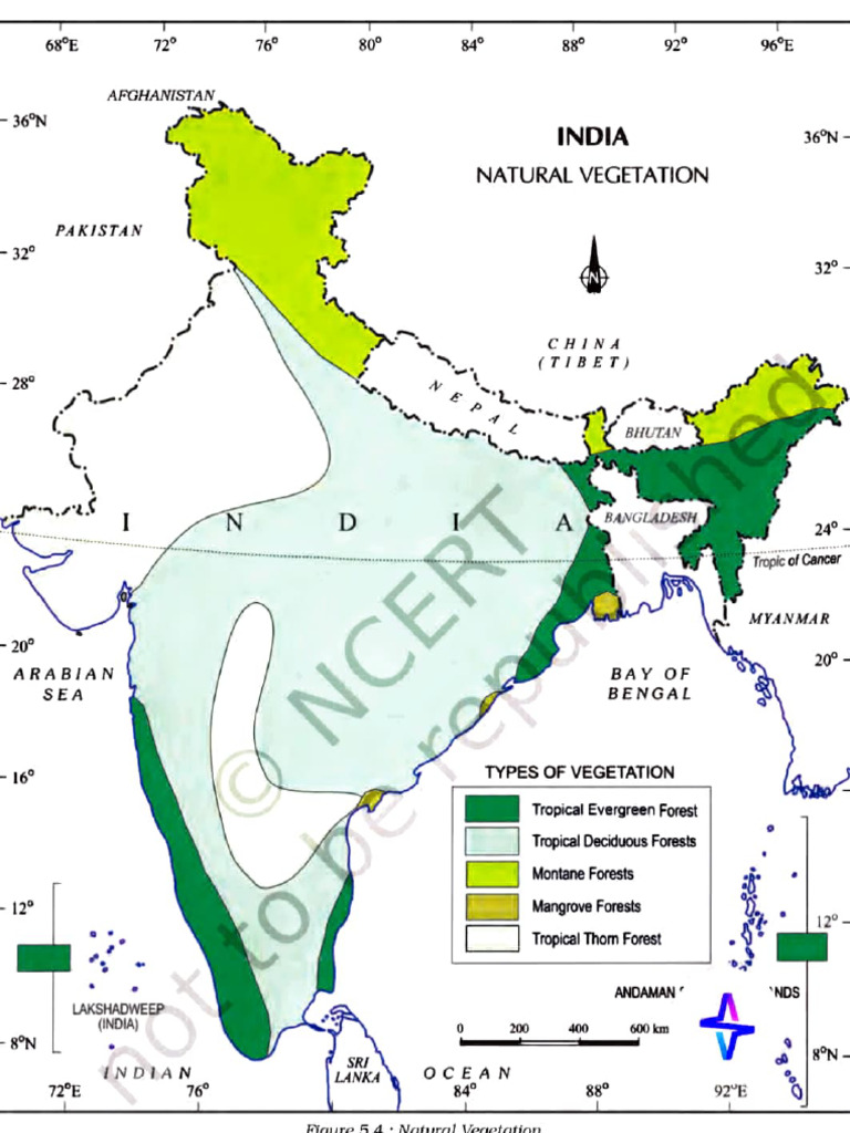 Geo Ch 5 Map Outline | PDF | Biogeography | Forests