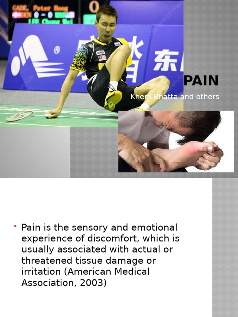 4 PAIN | PDF | Pain | Senses