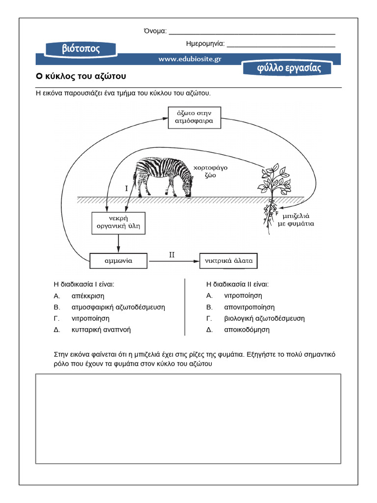 Nitrogen Cycle 03 Ws | PDF