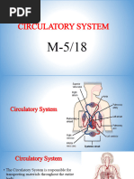 Human Heart School Project | PDF
