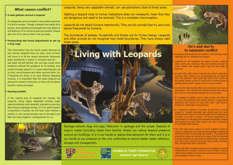 Living Safely with Leopards | PDF | Leopard | Predation