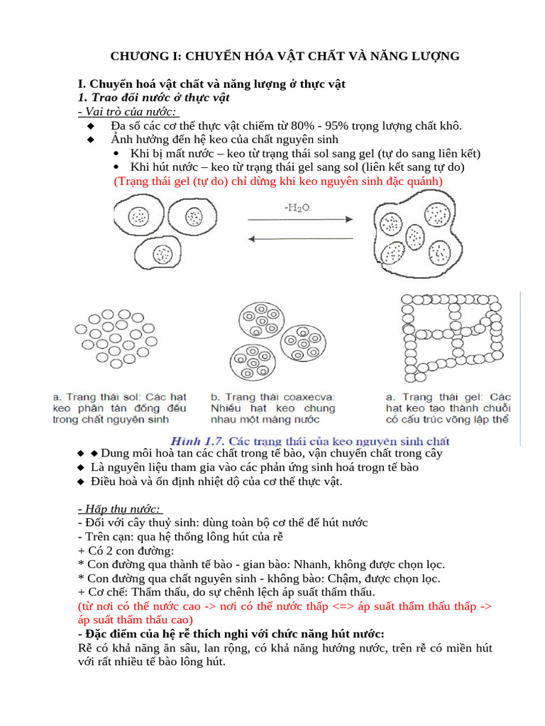 TV-Chương-1-Sự-trao-đổi-nước-CHVCNL | PDF