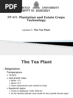 Process Flow Diagram For Tea Manufacturing | PDF | Tea | Atmosphere Of ...