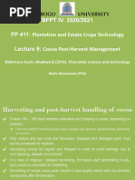 Cocoa Flow Chart | PDF | Cocoa Bean | Chocolate