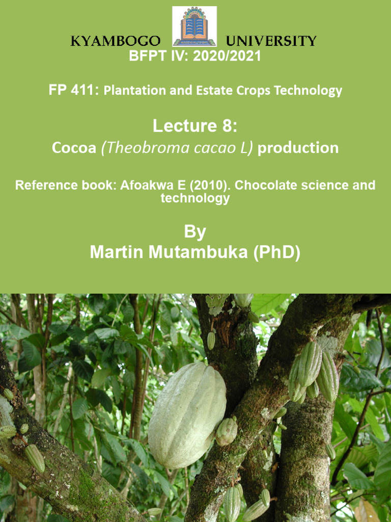 Plantation and Estate Crops Technology-lecture 8.Ppt (1) | PDF | Cocoa ... Plantation and Estate Crops Technology-lecture 8.Ppt (1) | PDF | Cocoa ...