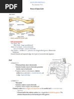 Upper Limb Bones Labeling Guide | PDF | Musculoskeletal System | Human ...