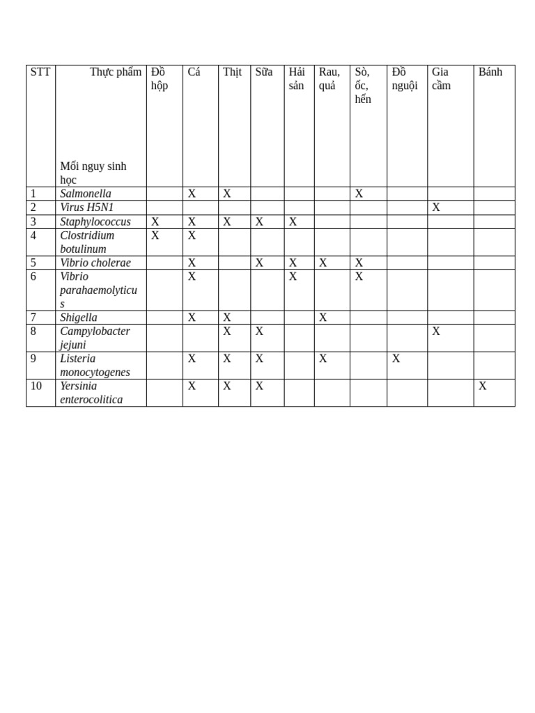 BT3-Nhóm 6 Vsattp | PDF