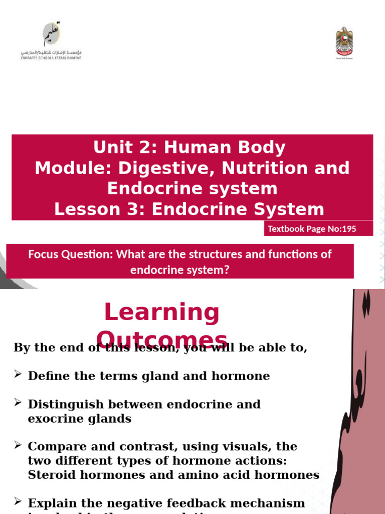CA_Lesson_3_The_Endocrine_System | PDF | Hormone | Endocrine System