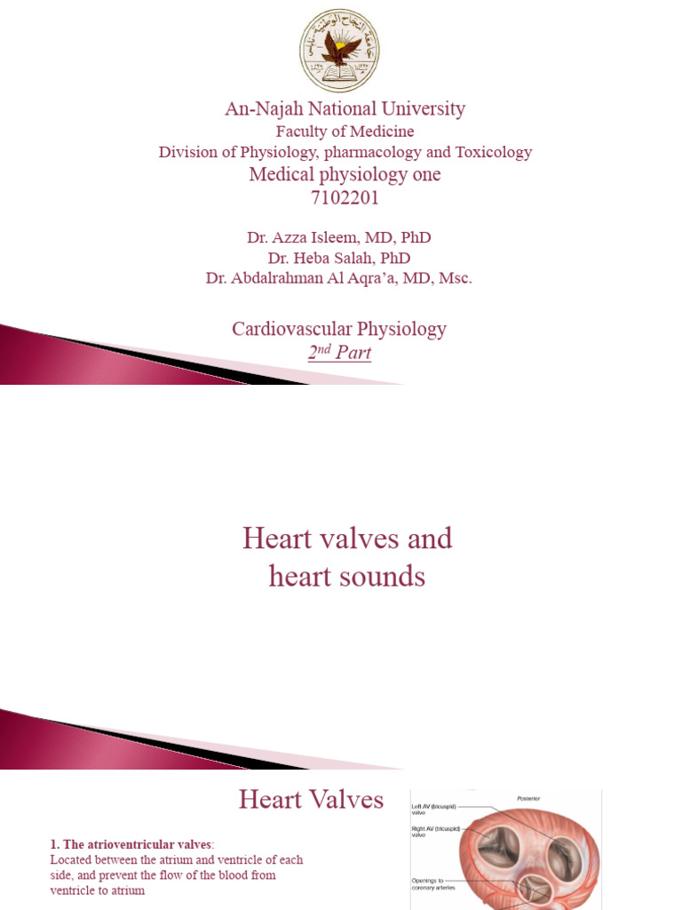 Heart Valves and Sounds Explained | PDF | Heart Valve | Heart
