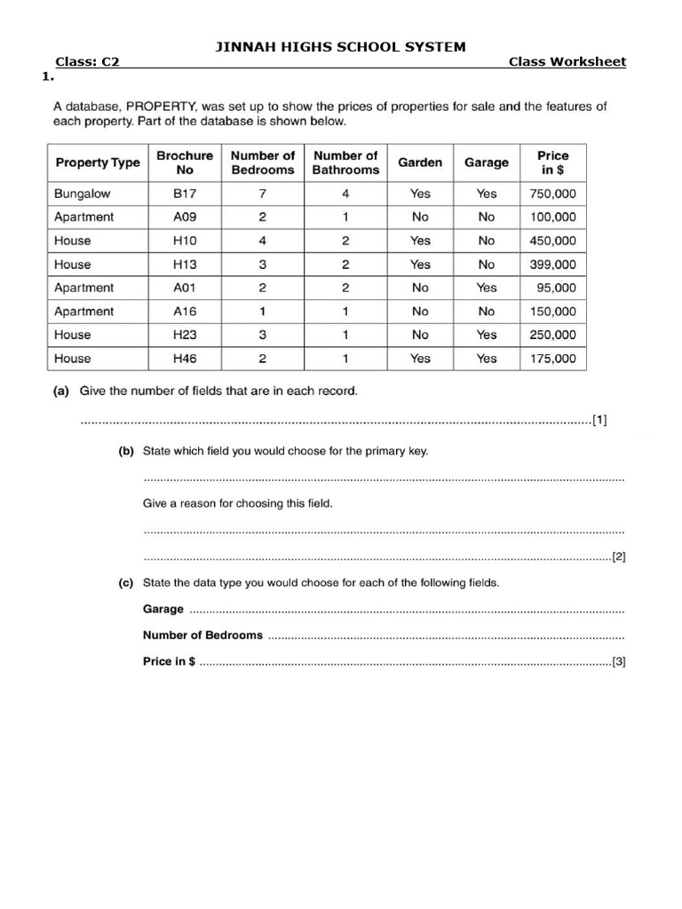 C2 Computer Onlne Worksheet | PDF