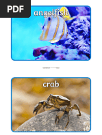 Sea Creatures List, Prices, Shadow Sizes, and Times ACNH - Animal ...