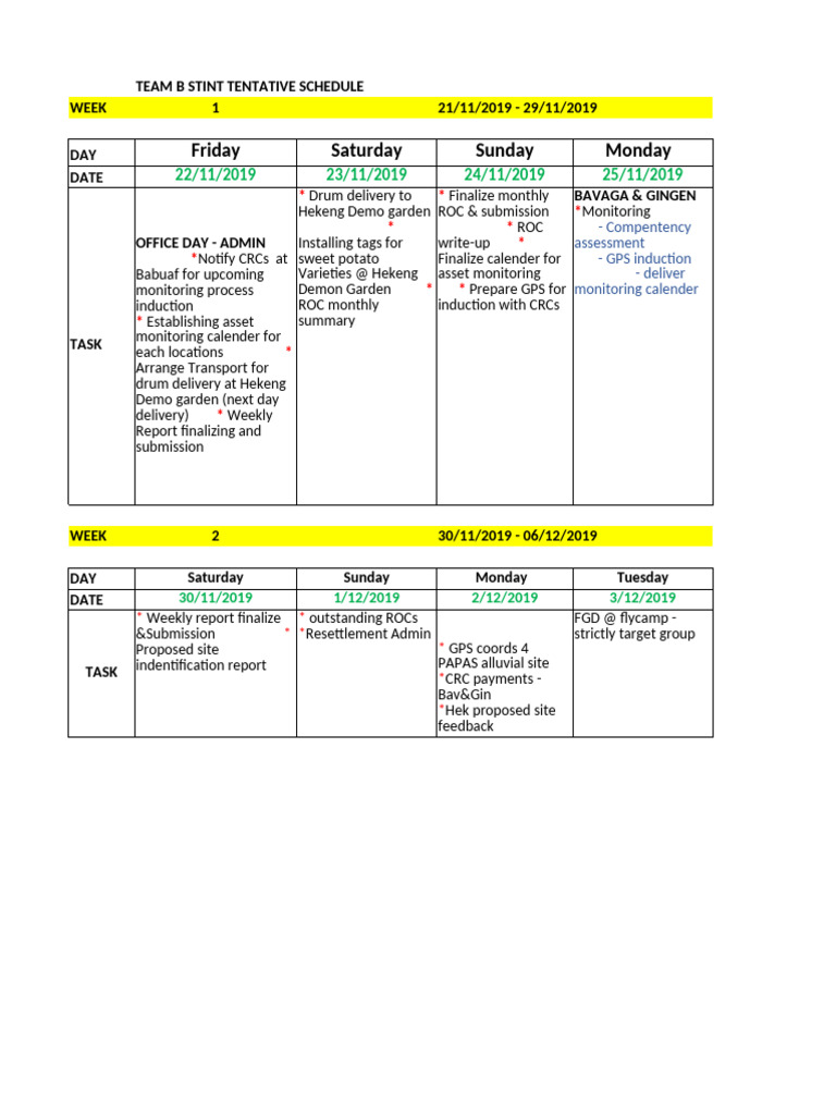 TEAM B Tentative Plan - 1 Week | PDF