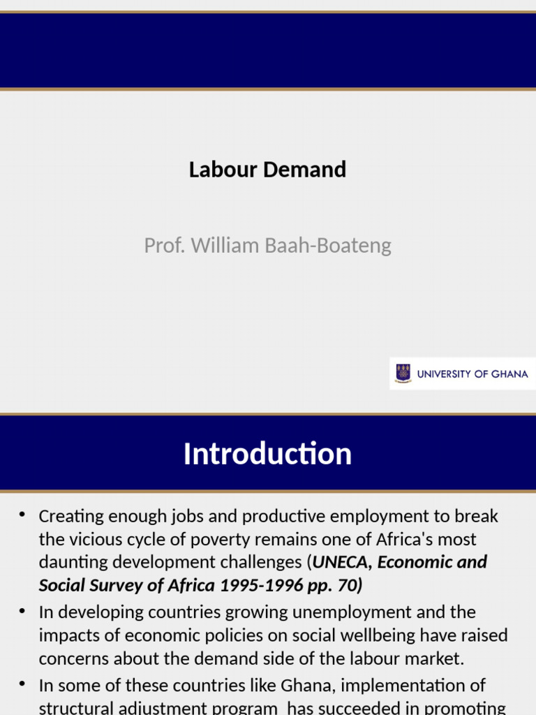 Labour Demand | PDF | Labour Economics | Demand