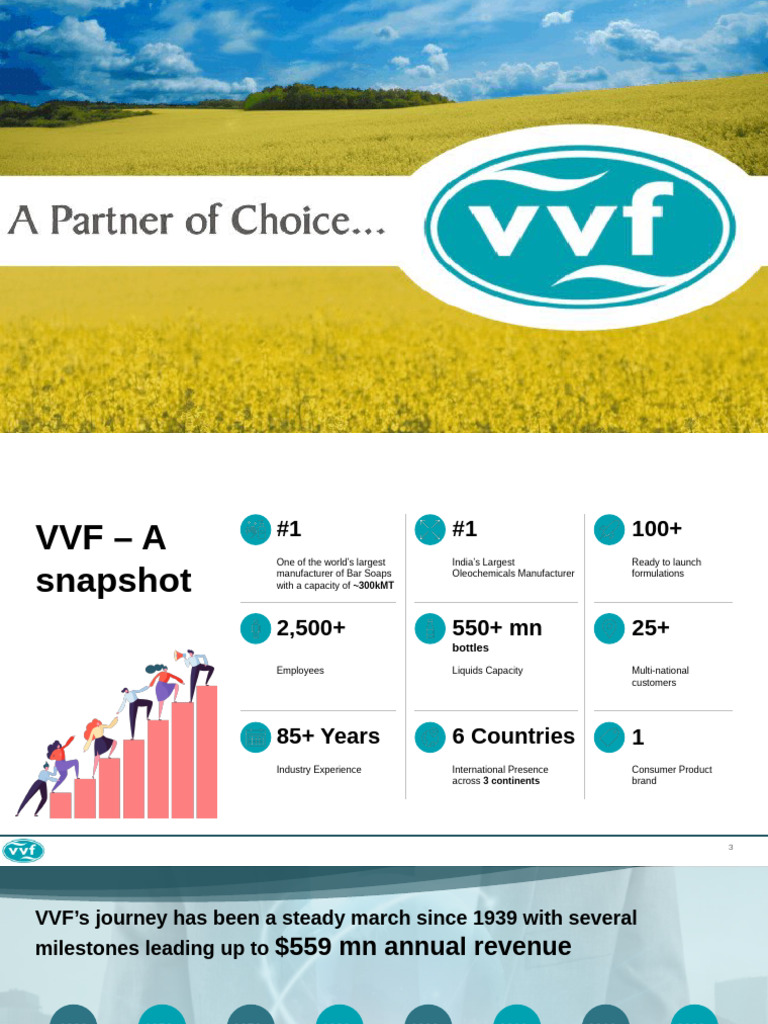 VVF Corporate Deck - 2024 | PDF | Cosmetics | Brand