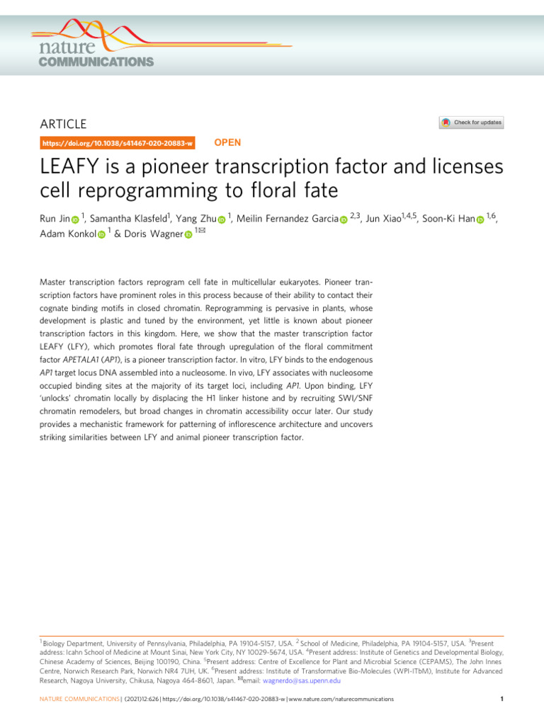Plant Cell Reprogramming by LFY | PDF | Transcription Factor | Chromatin