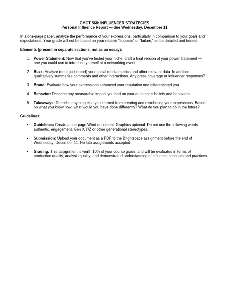 Personal Influence Report Guidelines | PDF