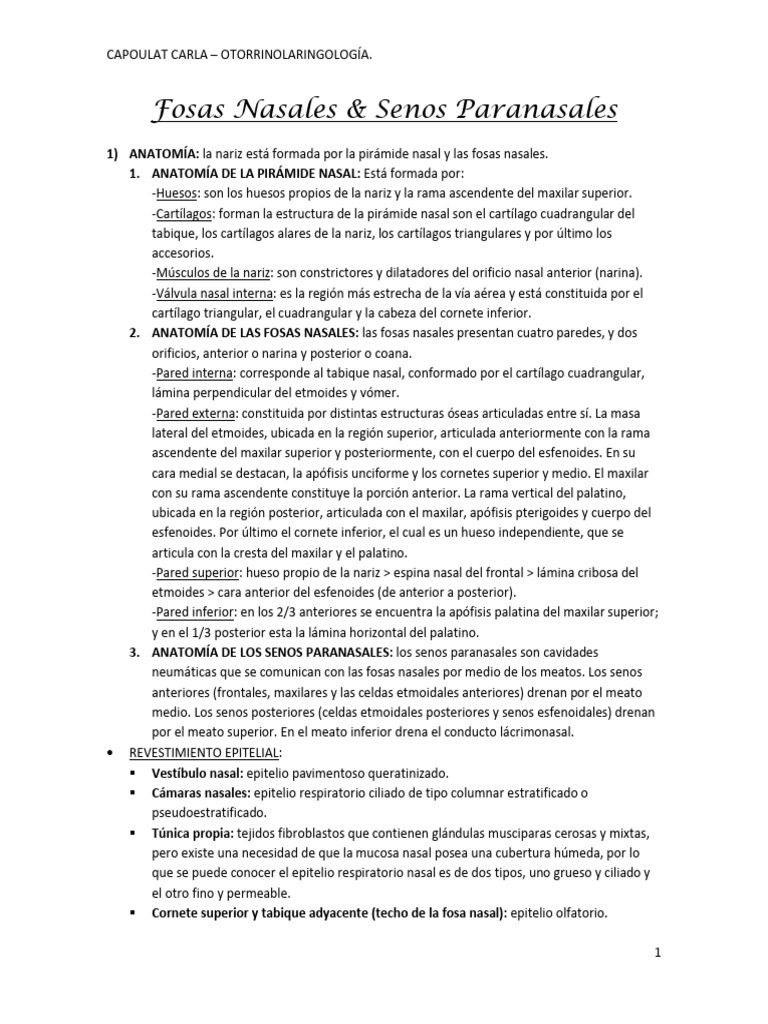4 Fosas Nasales & Senos Paranasales | PDF | Nariz humana | Anatomía