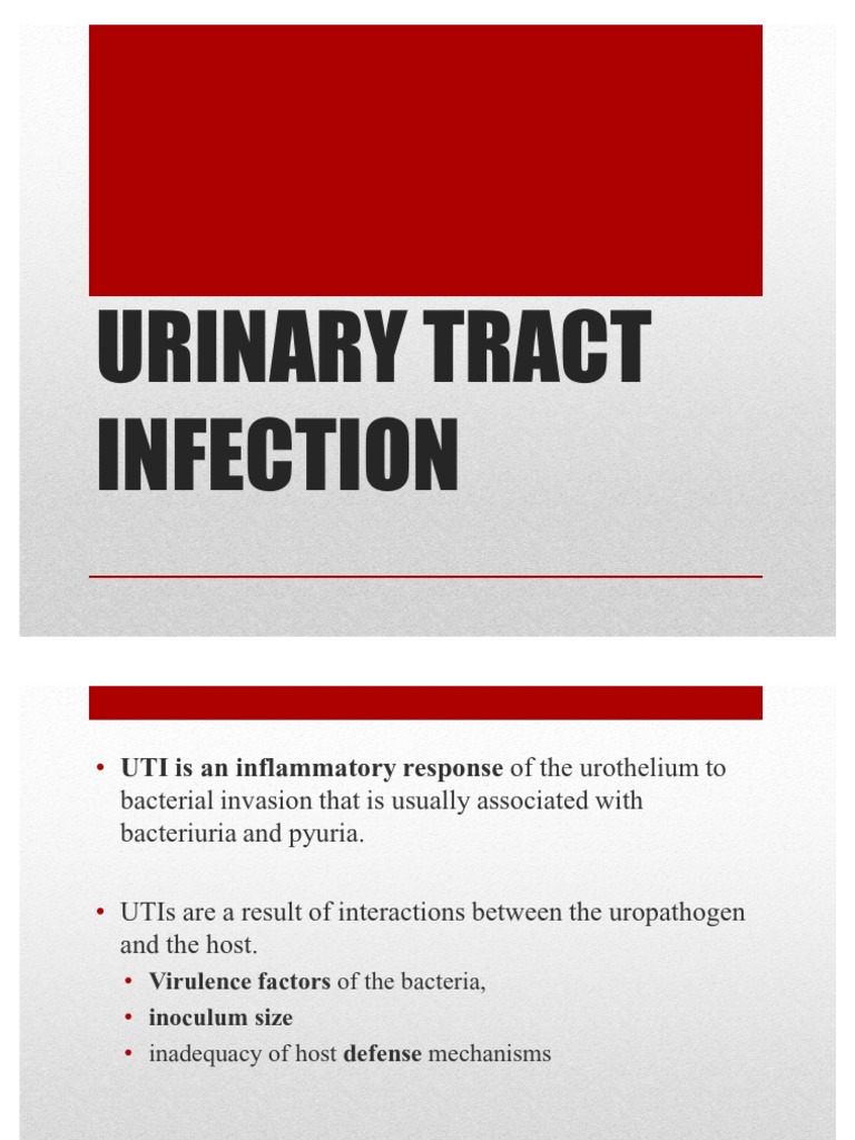 UTI Report | PDF | Urinary Tract Infection | Clinical Medicine