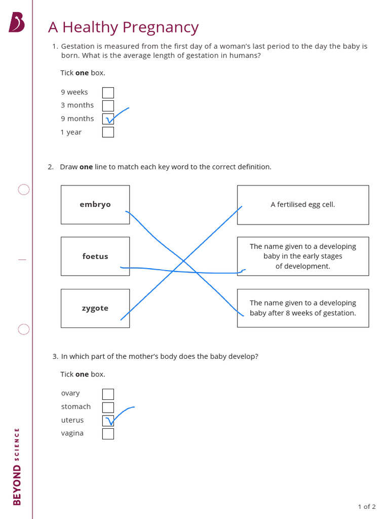 A Healthy Pregnancy Worksheet Support 2 | PDF