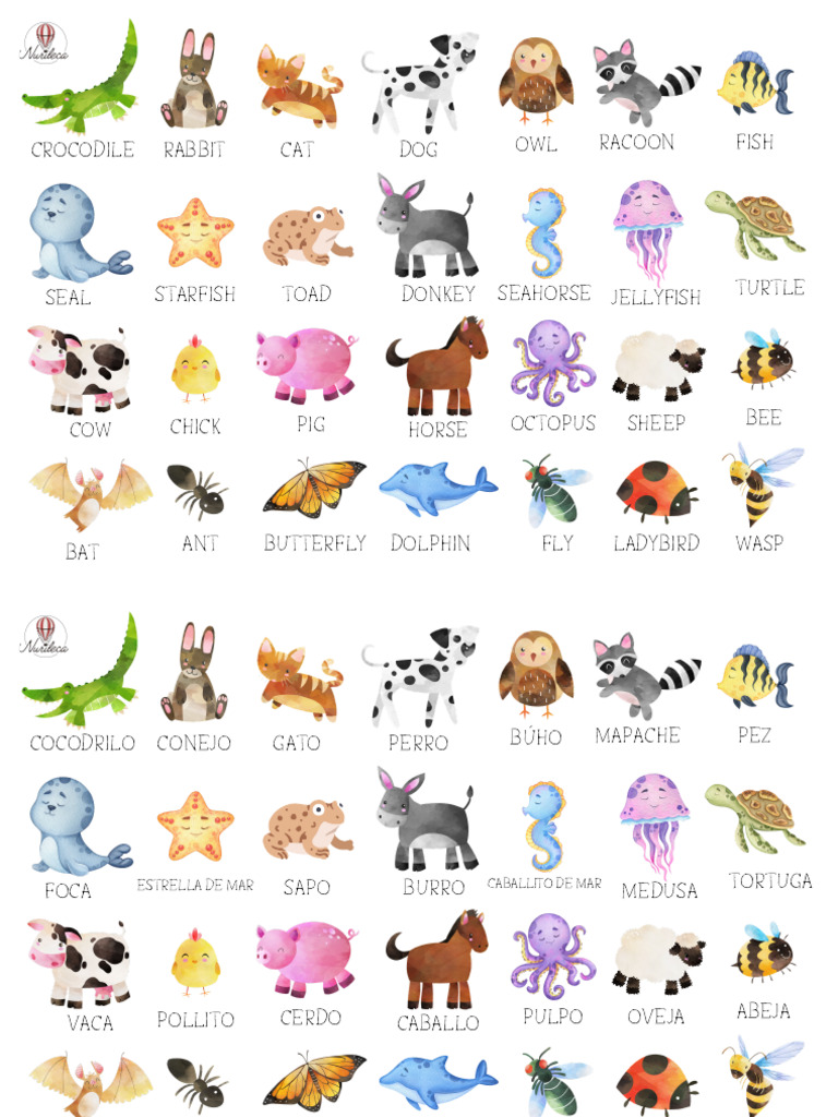 Lista de Animales para Educación | PDF
