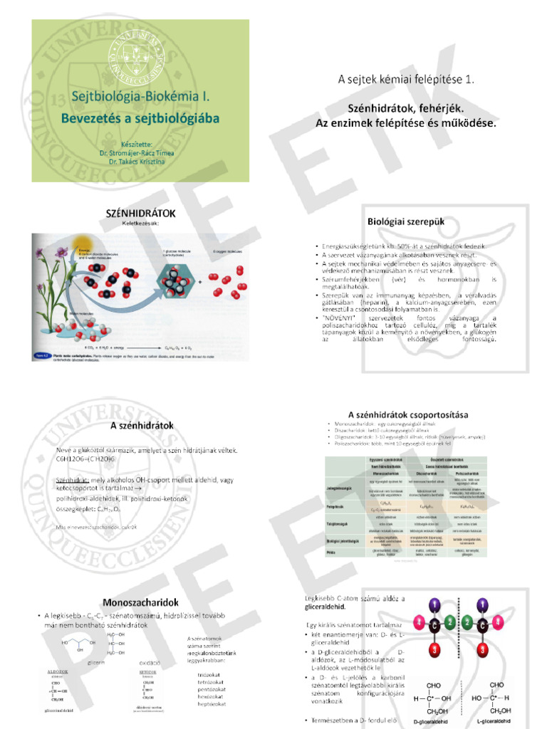02_A_sejtek_kemiai_felepitese_1_2019 | PDF