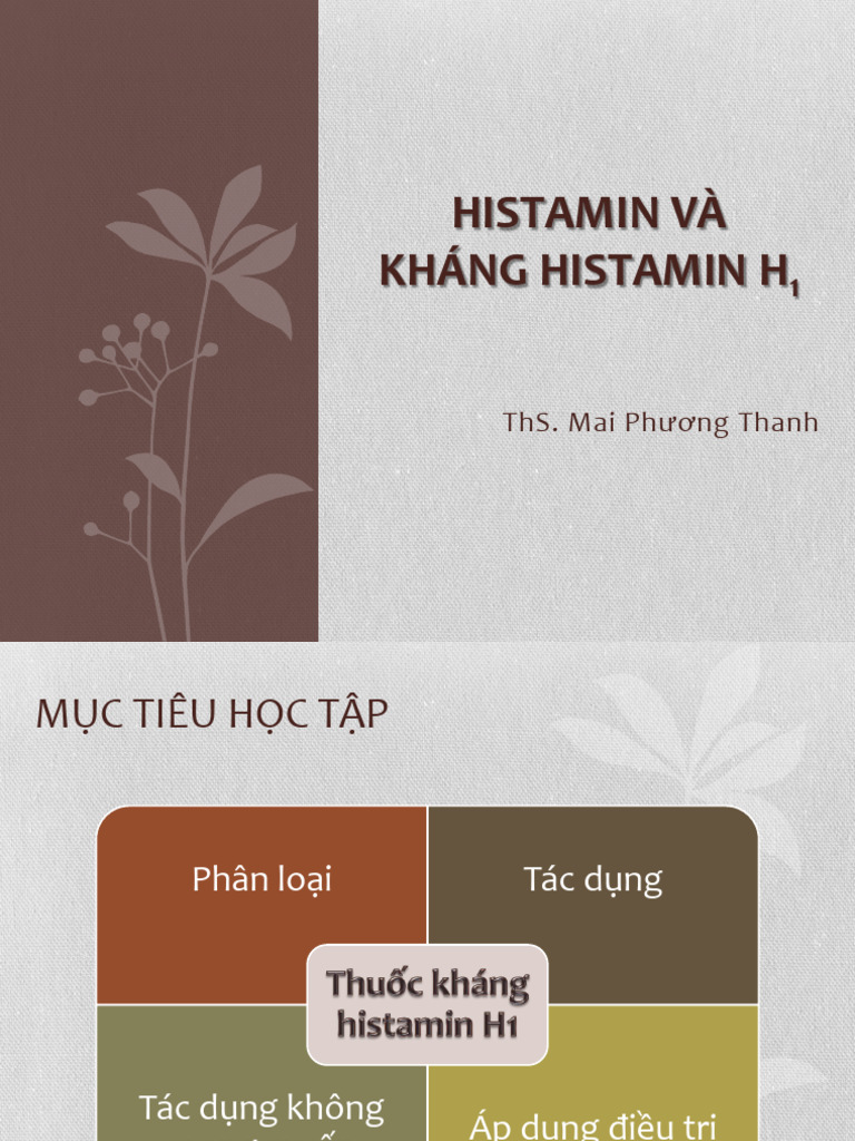 Thuoc Khang Histamin - Y3 | PDF