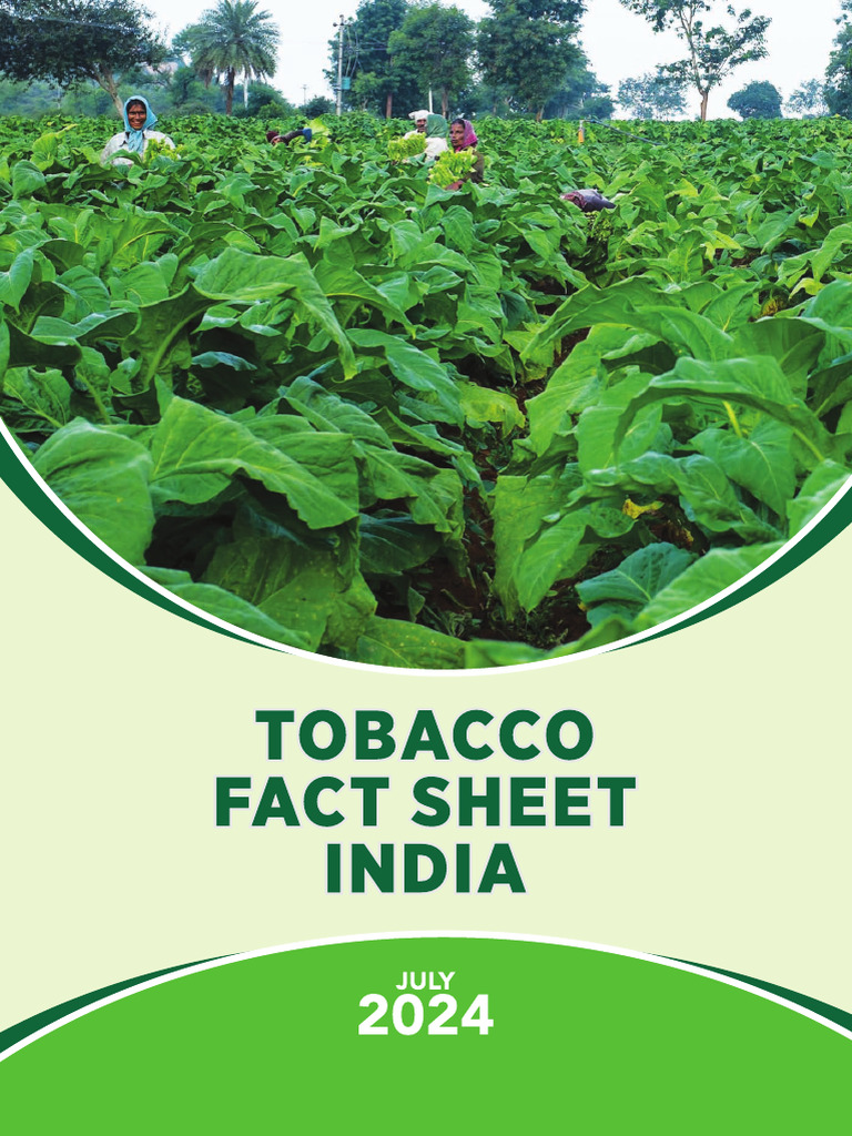 TII Tobacco Fact Sheet - 2024 July | PDF | Tobacco | Cigarette