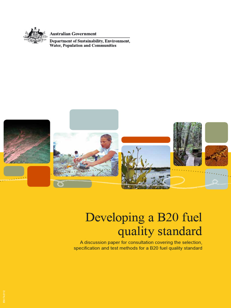 b20 Discussion Paper | PDF | Biodiesel | Diesel Fuel
