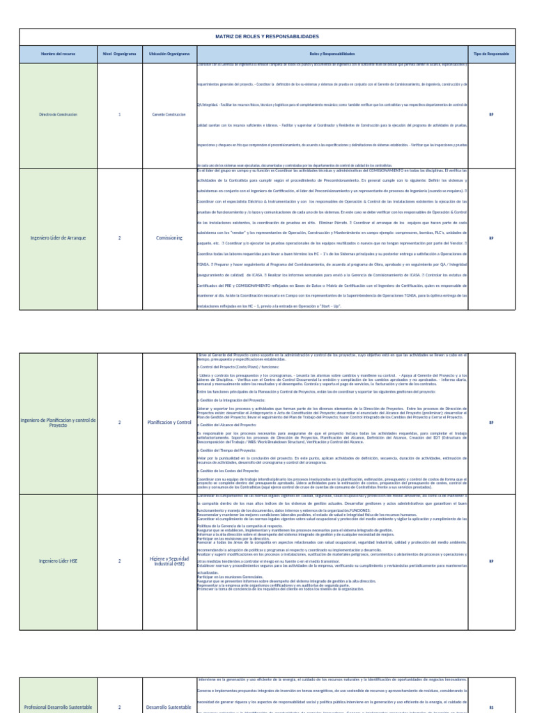 Matriz de Roles y Responsabilidades | PDF | Seguridad y salud ...