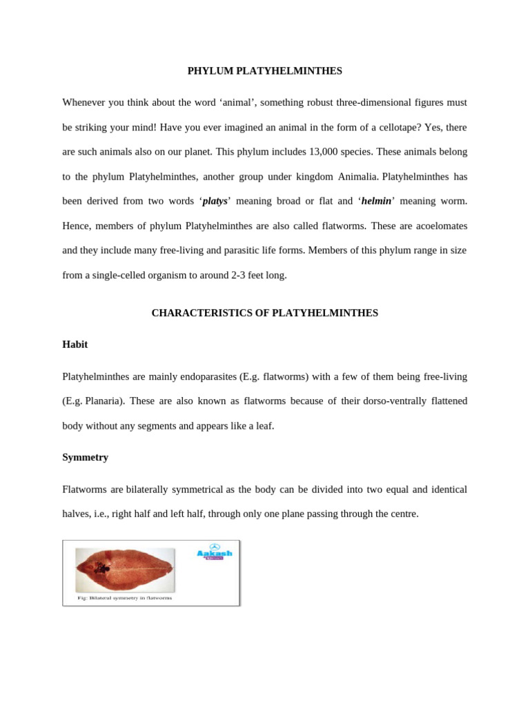 l12 Animal Kingdom & Phylum Platyhelminthes | PDF | Biology