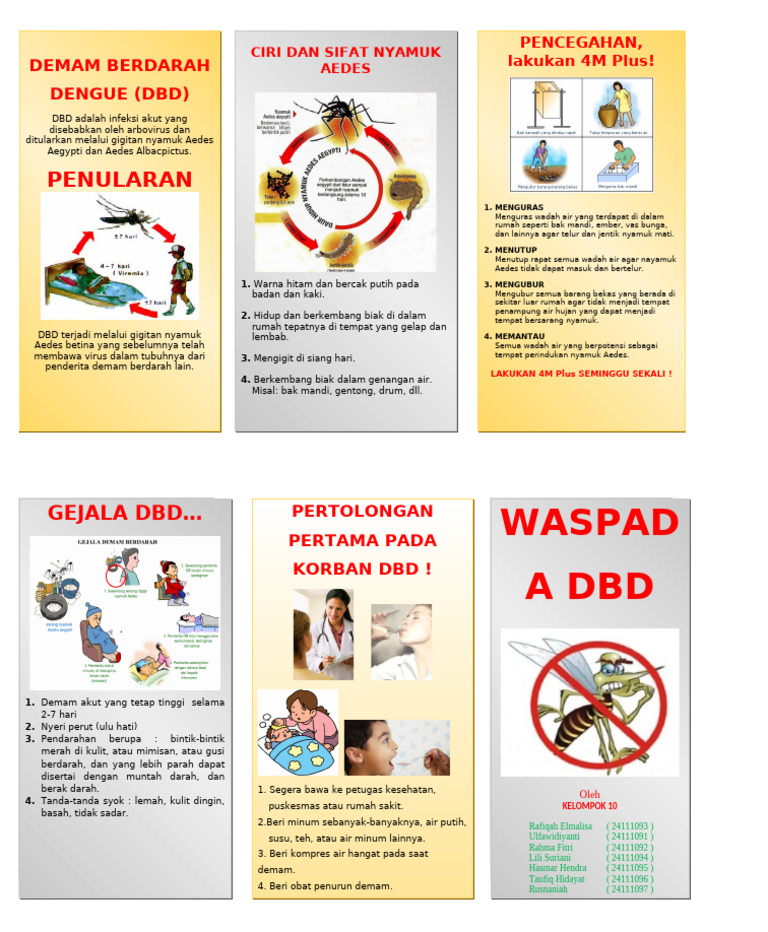 Leaflet DBD | PDF