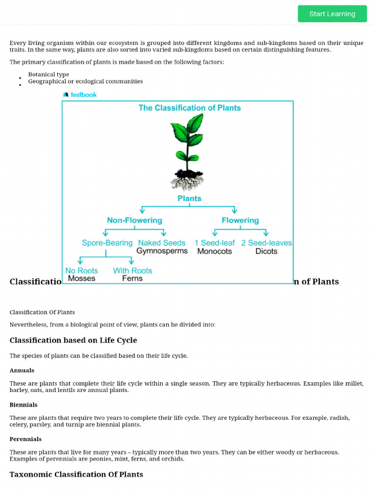 The Classification of Plants - Understanding The Different Types | PDF