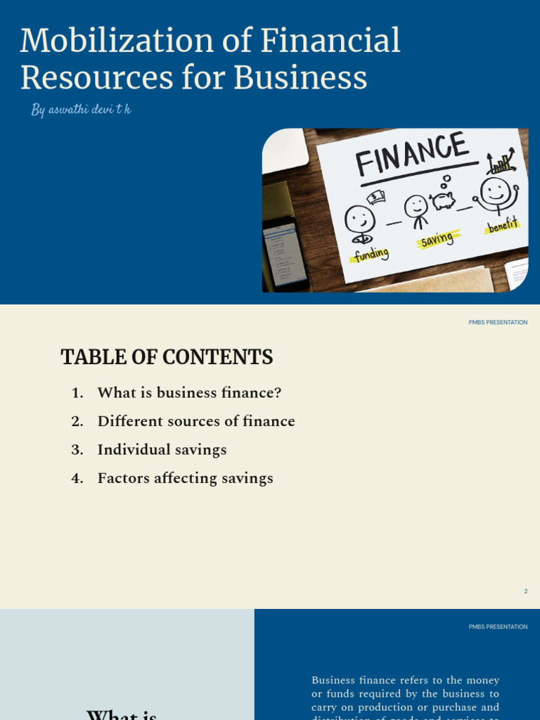 Mobilization of Financial Resources For Business | PDF | Saving | Income