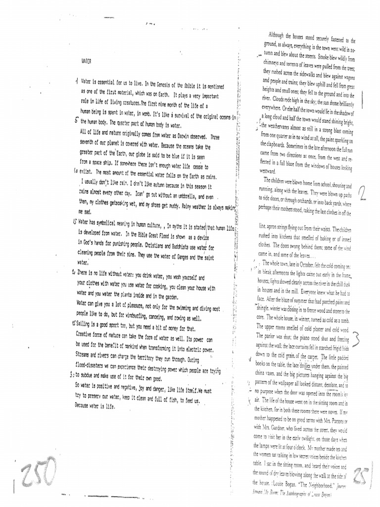 Two Example Descriptions | PDF