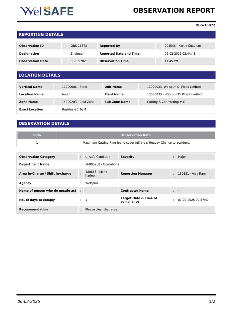 Safety - Observation - Report-06-02-2025 025747 | PDF