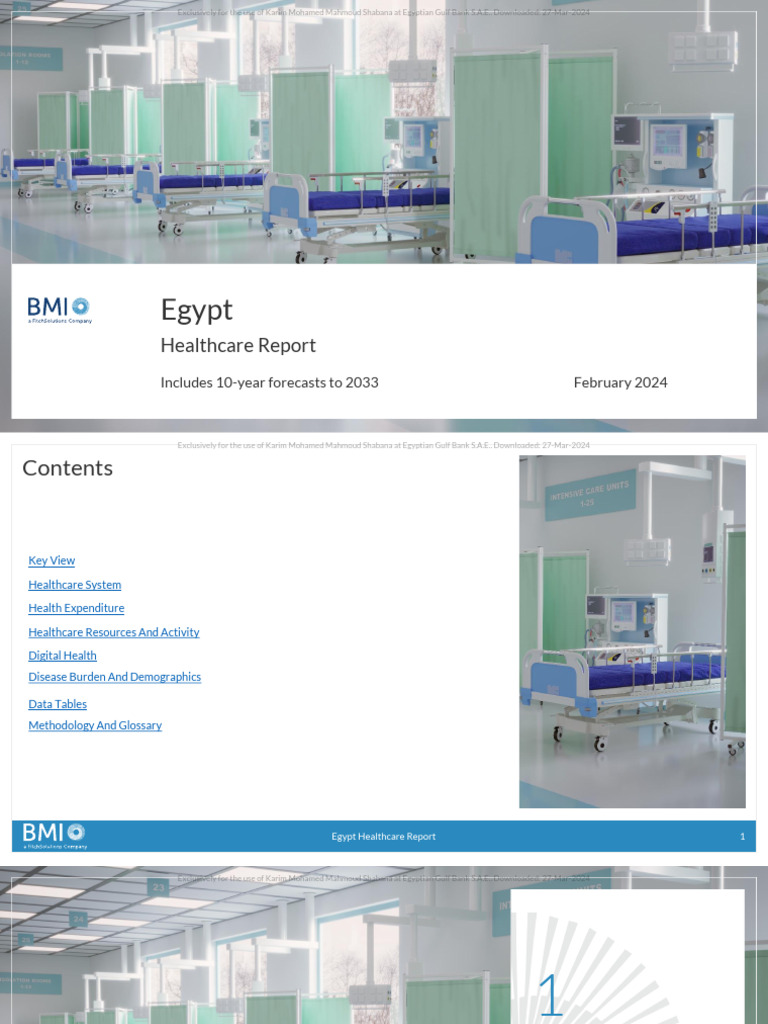 Fitch Egypt Healthcare Report - 2024-03-08 | PDF | Egypt | Health Care