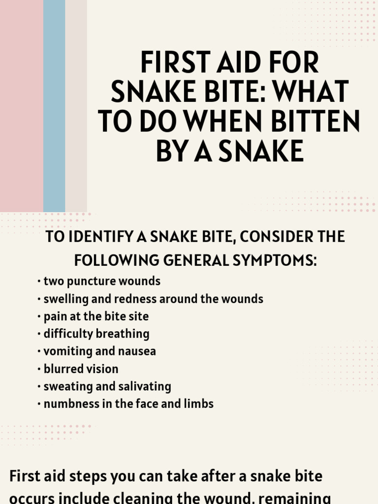 First Aid For Snake Bite What To Do When Bitten by A Snake | PDF