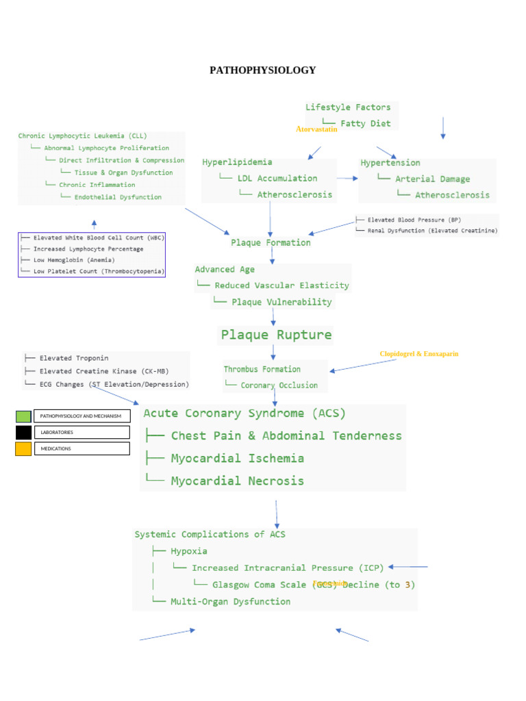 Path o Physiology | PDF