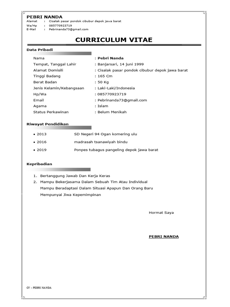 Curriculum Vitae HERI | PDF