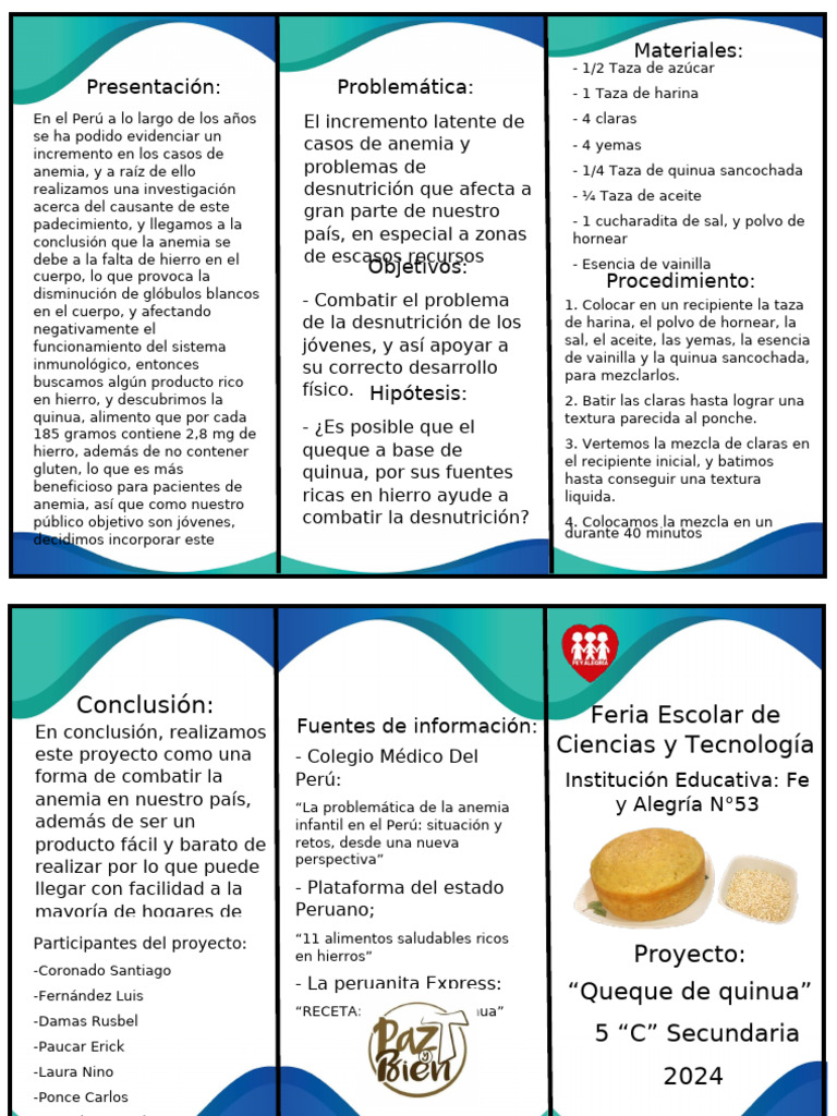 Triptico (Final) | PDF