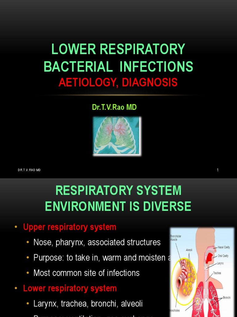 Lower Respiratory Infections | PDF | Pneumonia | Respiratory Tract