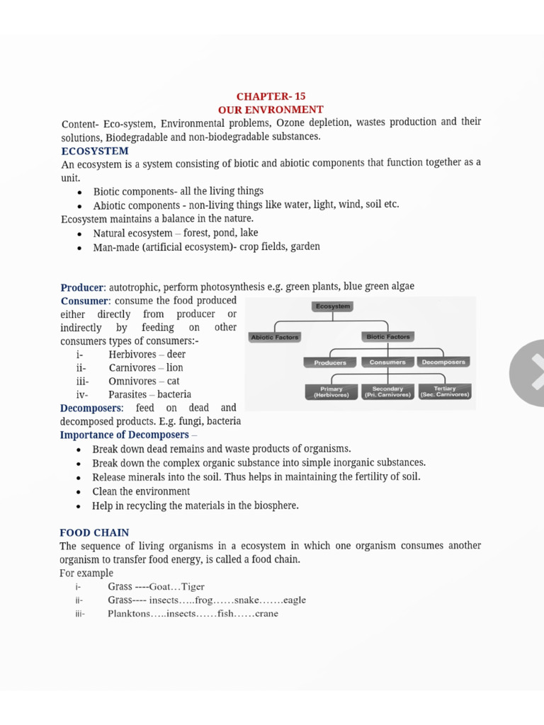 Our Environment Short Revision Notes | PDF