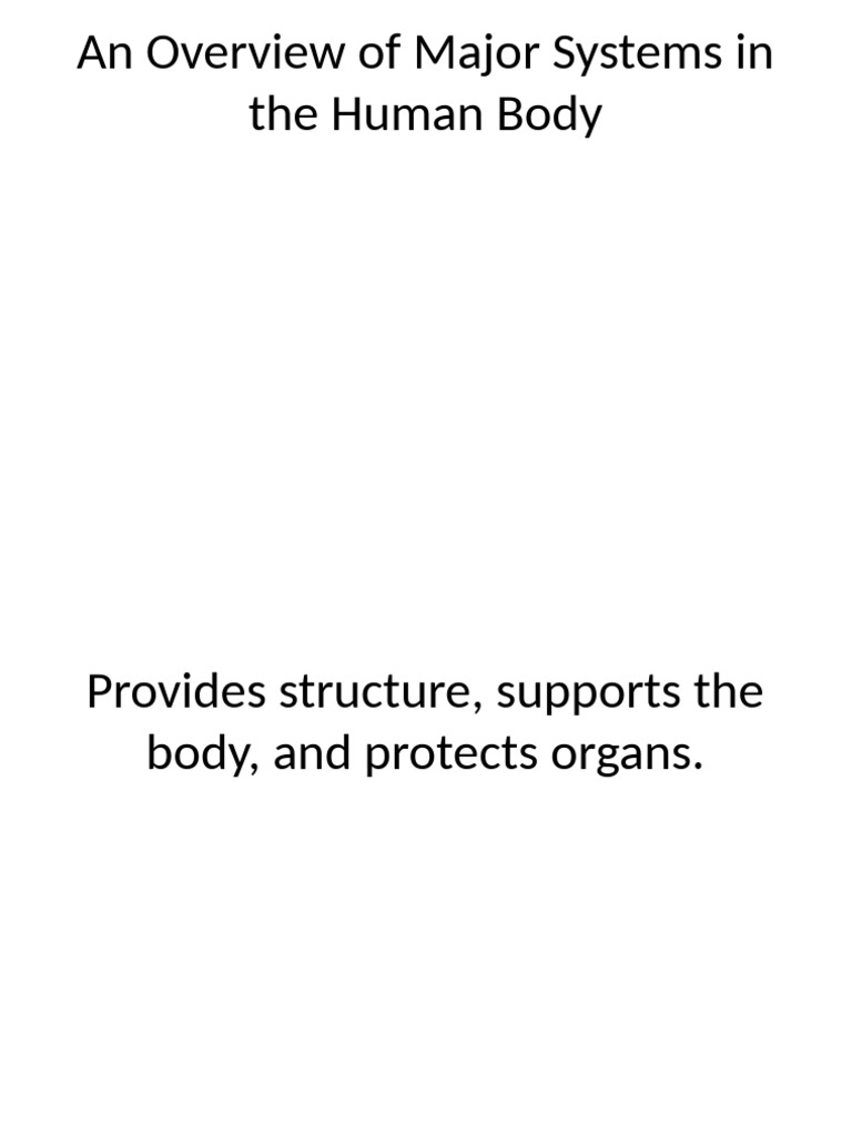 Human Body Systems Overview | PDF